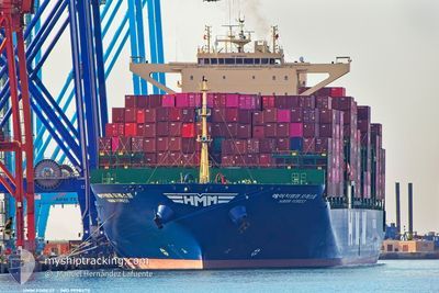 HMM FOREST - Cargo (IMO: 9998470, MMSI: 352005268) | MyShipTracking
